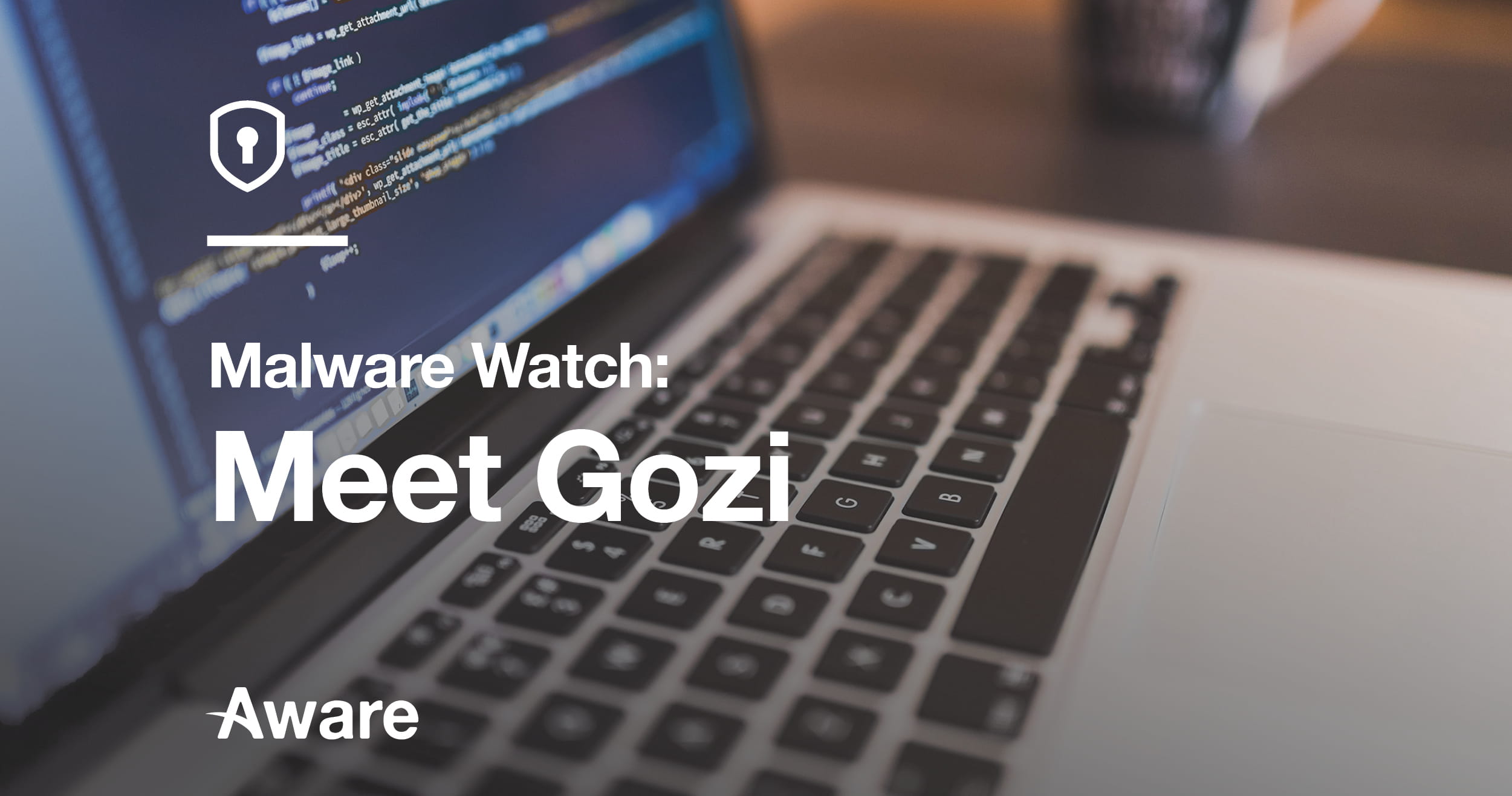 Meet Gozi: The Number 1 Financial Malware - Aware Corporation Limited