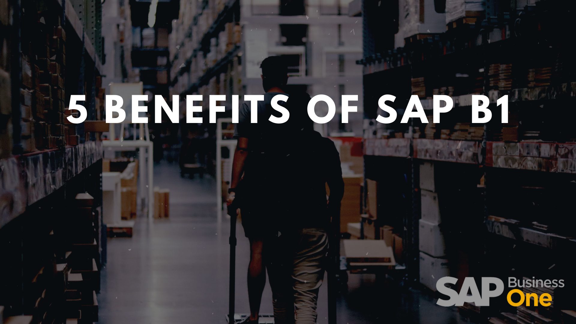 What is SAP Business Ones? SAP B1 Explained - ERP for Business